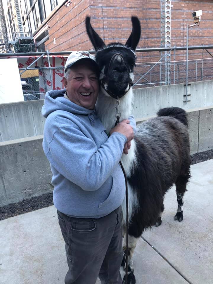 Home – Carlson's Llovable Llamas